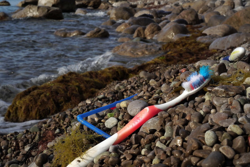 Plastic Toothbrushes and the Environment: You Can Make a Difference ...